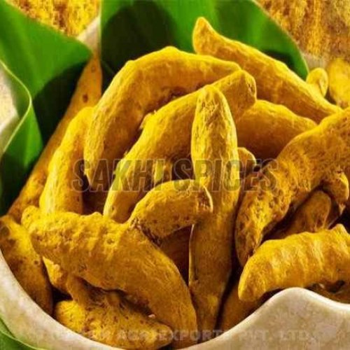 Finger Turmeric Manufacturer and Supplier