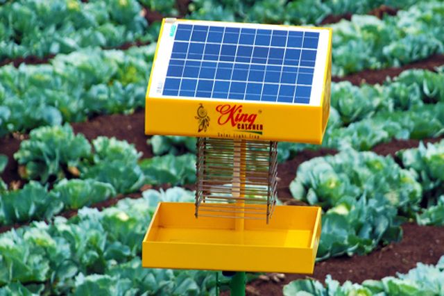 Solar Insect Light Trap Manufacturer Supplier in Sangli India