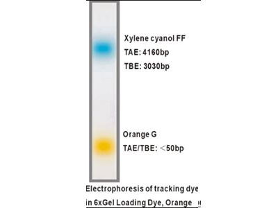 Orange Loading Dye Recipe | Deporecipe.co