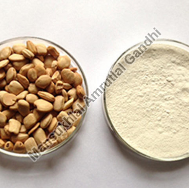 Tamarind Seeds Powder Manufacturer Exporter from Ahmednagar India