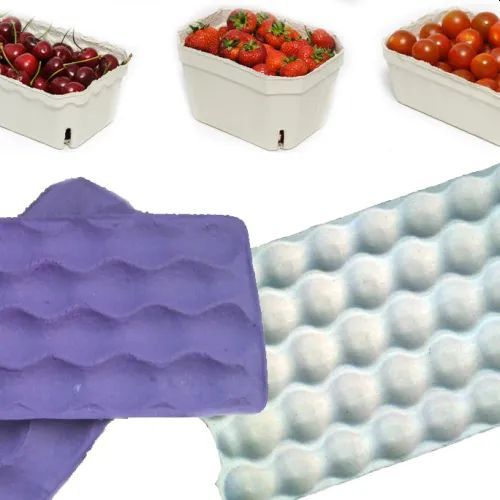 Paper Pulp Moulded Apple Tray Manufacturer Supplier from Sonipat India