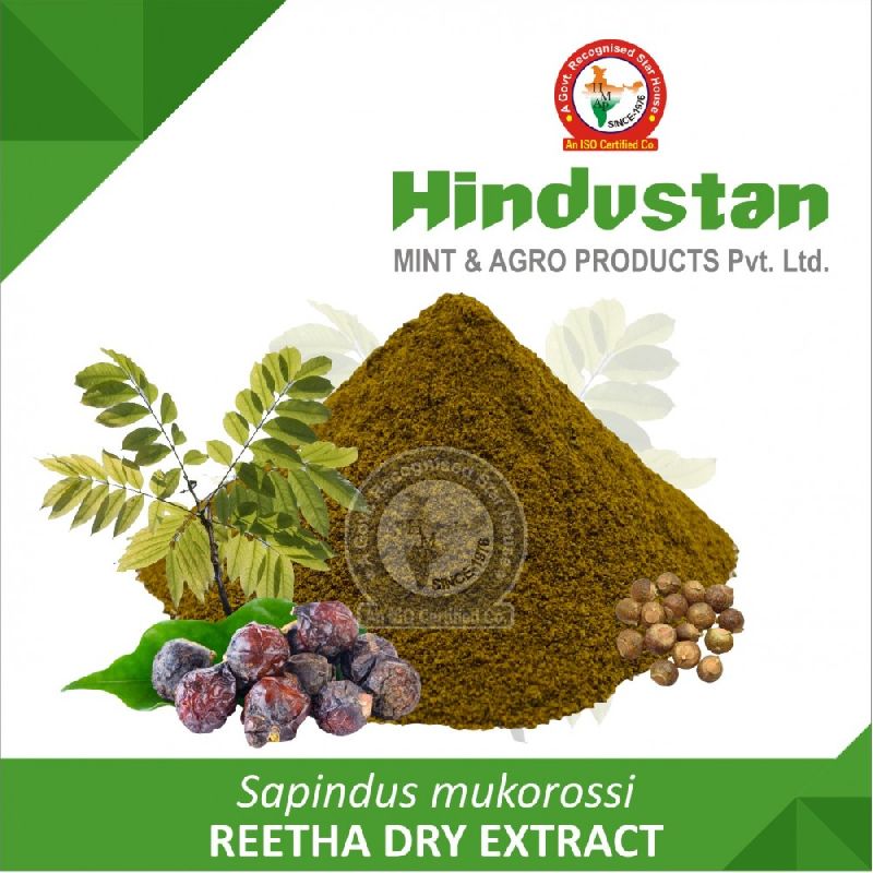 Reetha Dry Extract