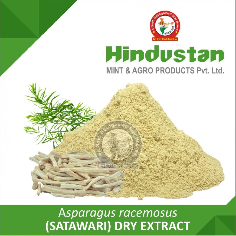 Shatavari Dry Extract