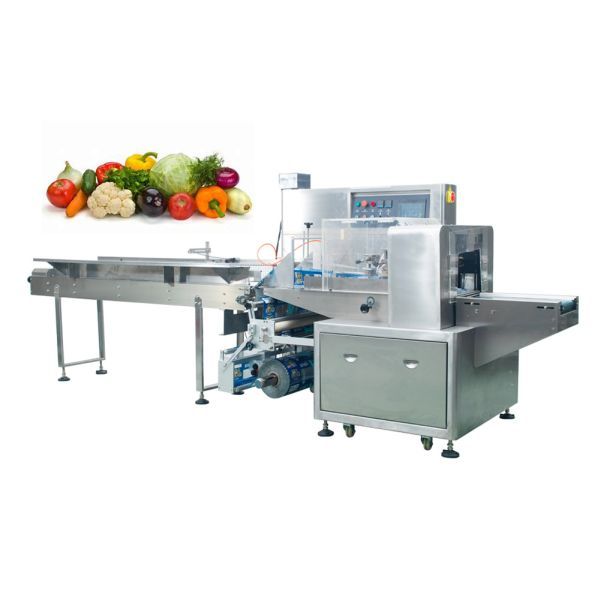 Fruits And Vegetable Packing Machine Manufacturer Supplier in Rewari India