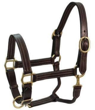Horse Halters Supplier,Wholesale Horse Halters Distributor from Delhi India