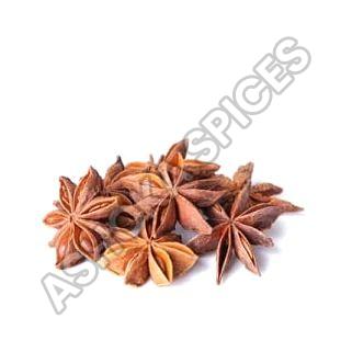 Indian Star Anise Exporter,Indian Star Anise Supplier from Delhi India