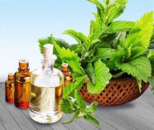 HERBOCHEM INDUSTRIES PRIVATE LIMITED - 3-Octanyl Acetate Manufacturer ...