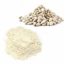 White Kidney Bean Extract Powder Manufacturer Supplier from Jaipur India