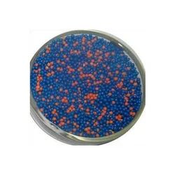 Zinc Sulphate Monohydrate Sustained Release Pellets Manufacturer ...