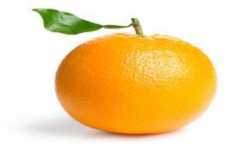 Wholesale Fresh Orange Supplier,Fresh Orange Exporter from Pune India