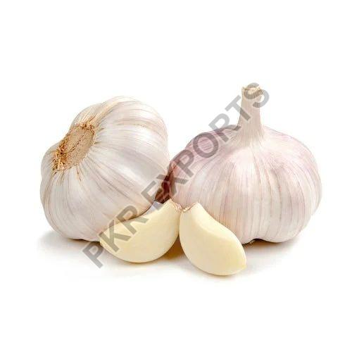 Fresh Garlic Exporter and Fresh Ginger Supplier from Tenkasi | PKR EXPORTS