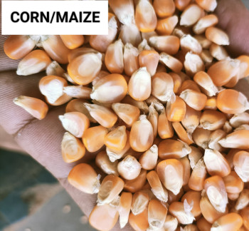 Vekariya Brothers, Split Urad Dal and Toor Dal Exporter & Supplier from ...