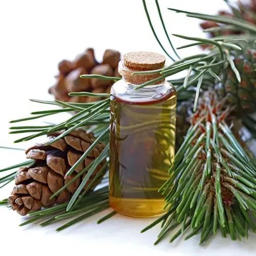 Pine Essential Oil