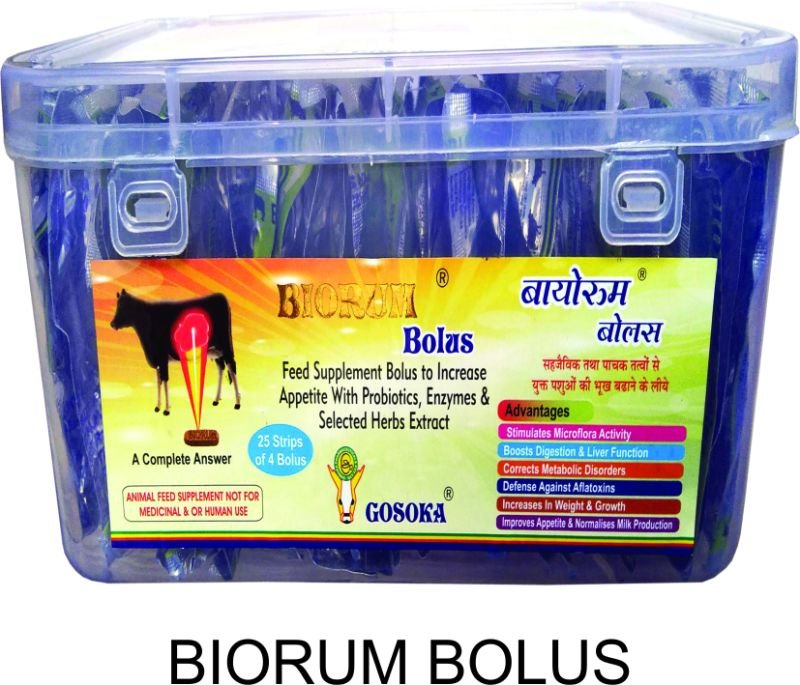 Biorum Bolus Manufacturer Exporter Supplier from Mahesana India