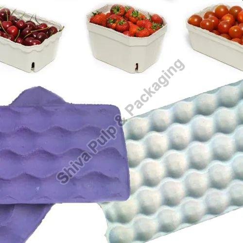 Paper Pulp Moulded Apple Tray Manufacturer, Supplier from Sonipat