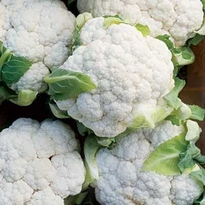 Fresh Vegetables - Exporter & Wholesale Supplier from Nagapattinam