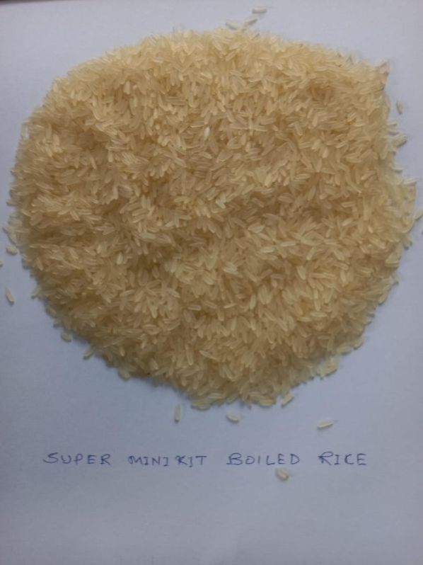 Super Miniket Rice Manufacturer, Supplier from Dakshin Dinajpur