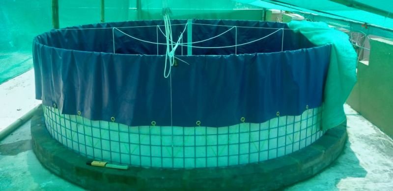 Biofloc Tank - Manufacturer, Exporter & Supplier from Delhi India