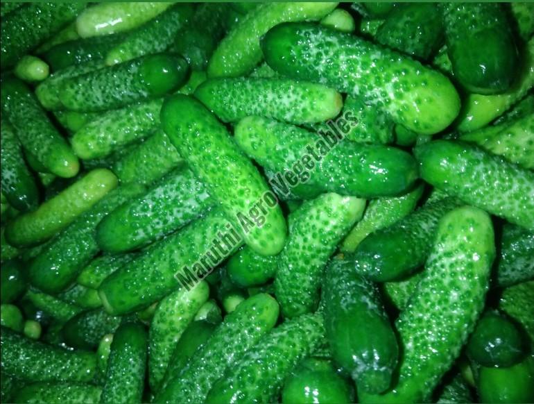 Maruthi Agro Vegetables Supplier, Manufacturer in Karnataka India