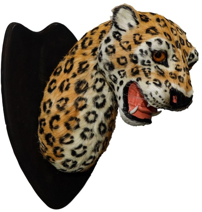 Decorative Ceramics Dealers in Jodhpur | Decorative Ceramics Suppliers ...