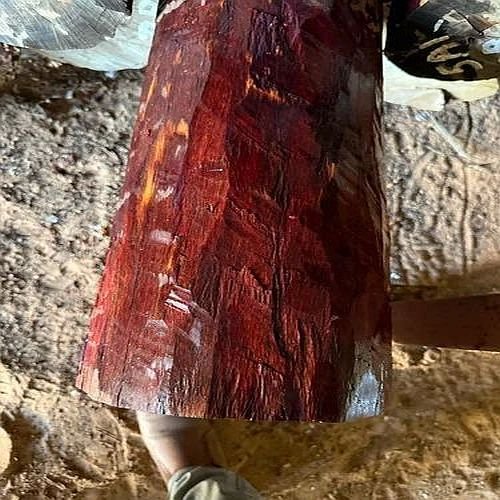 Red Sandalwood Logs Manufacturer, Exporter & Supplier from Lucknow India