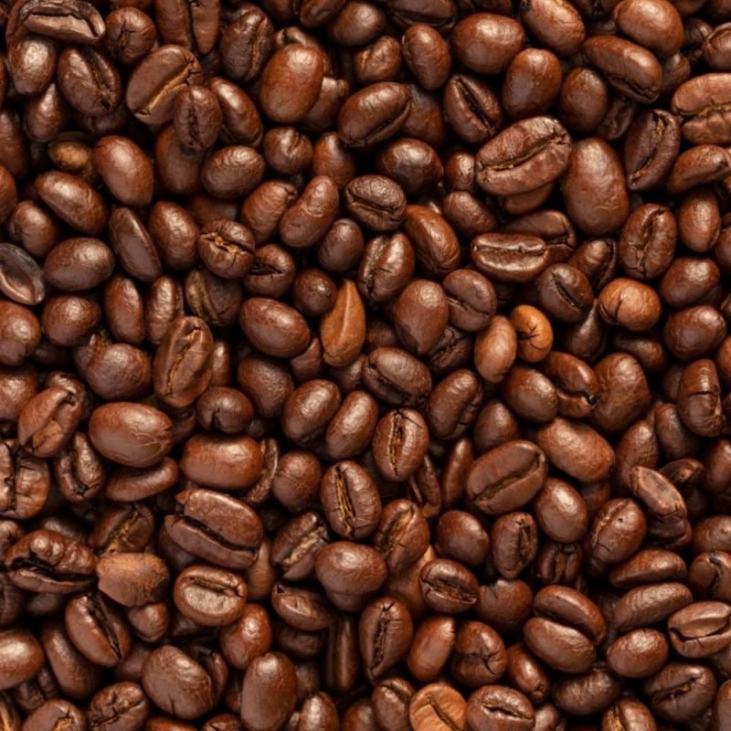 Aa Grade Robusta Coffee Beans Exporters and Suppliers from Bhopal