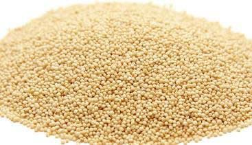 Rajgira Grains - Manufacturer Exporter Supplier in Khambhat India