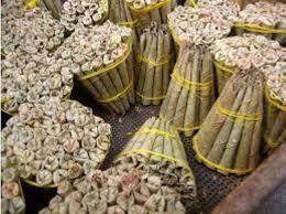 Filter Beedi Manufacturer,Filter Beedi Supplier and Exporter Nadia India