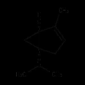 Dl Menthol - Manufacturer Exporter Supplier in Ghaziabad India