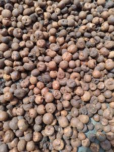 Red Supari Dealers in Hojai | Red Supari Suppliers & Manufacturer List ...