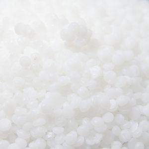 Palm Wax Dealers in Nagpur | Palm Wax Suppliers & Manufacturer List ...