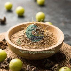 Dehydrated Spinach Flakes Manufacturer and Supplier from Nandurbar ...